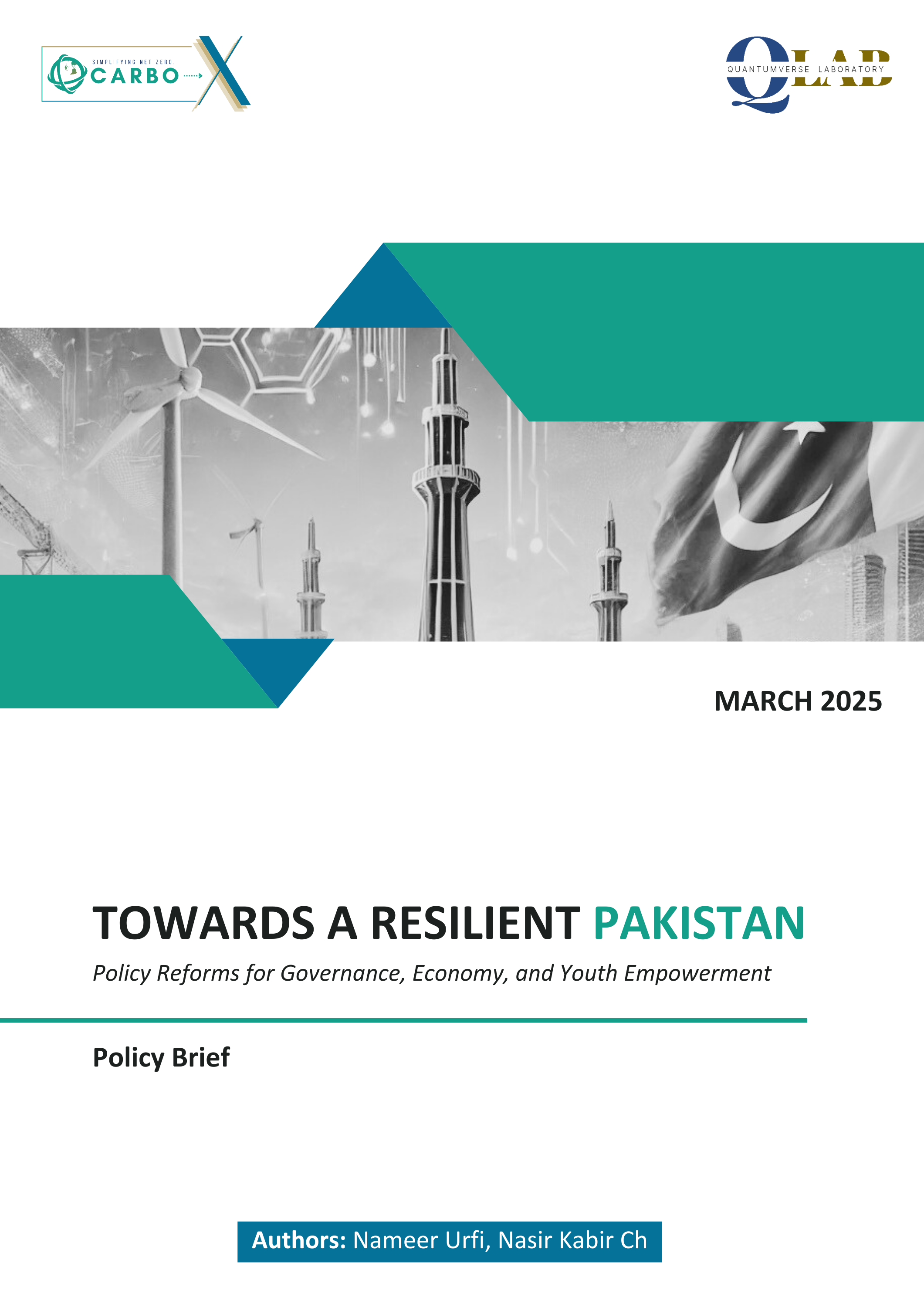 Towards a Resilient Pakistan: Policy Reforms for Governance, Economy ...